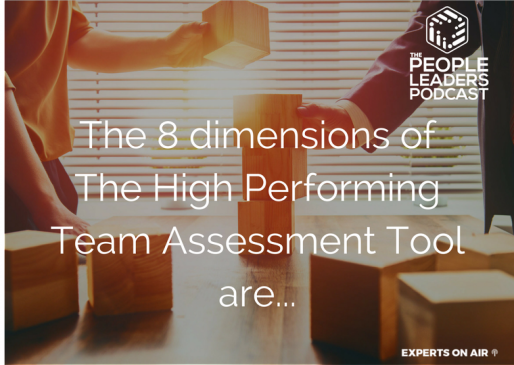 The 8 dimensions of the high performing team assessment tool are ...