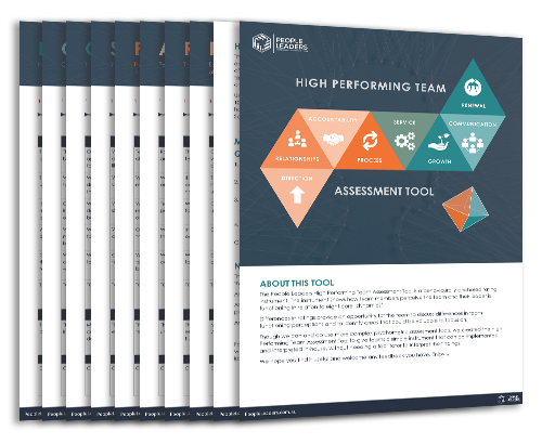 High Performing Team Assessment Tool - People Leaders